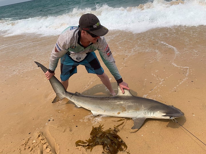 Castable shark rigs - Predator Tackle