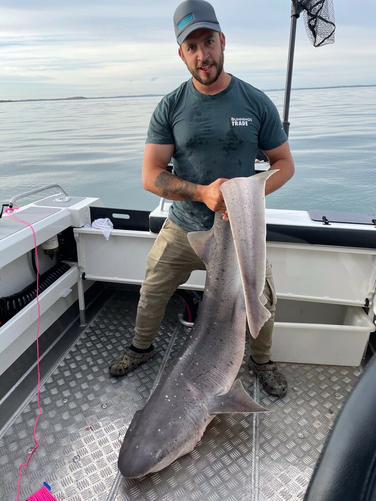 Gummy School Shark Rig