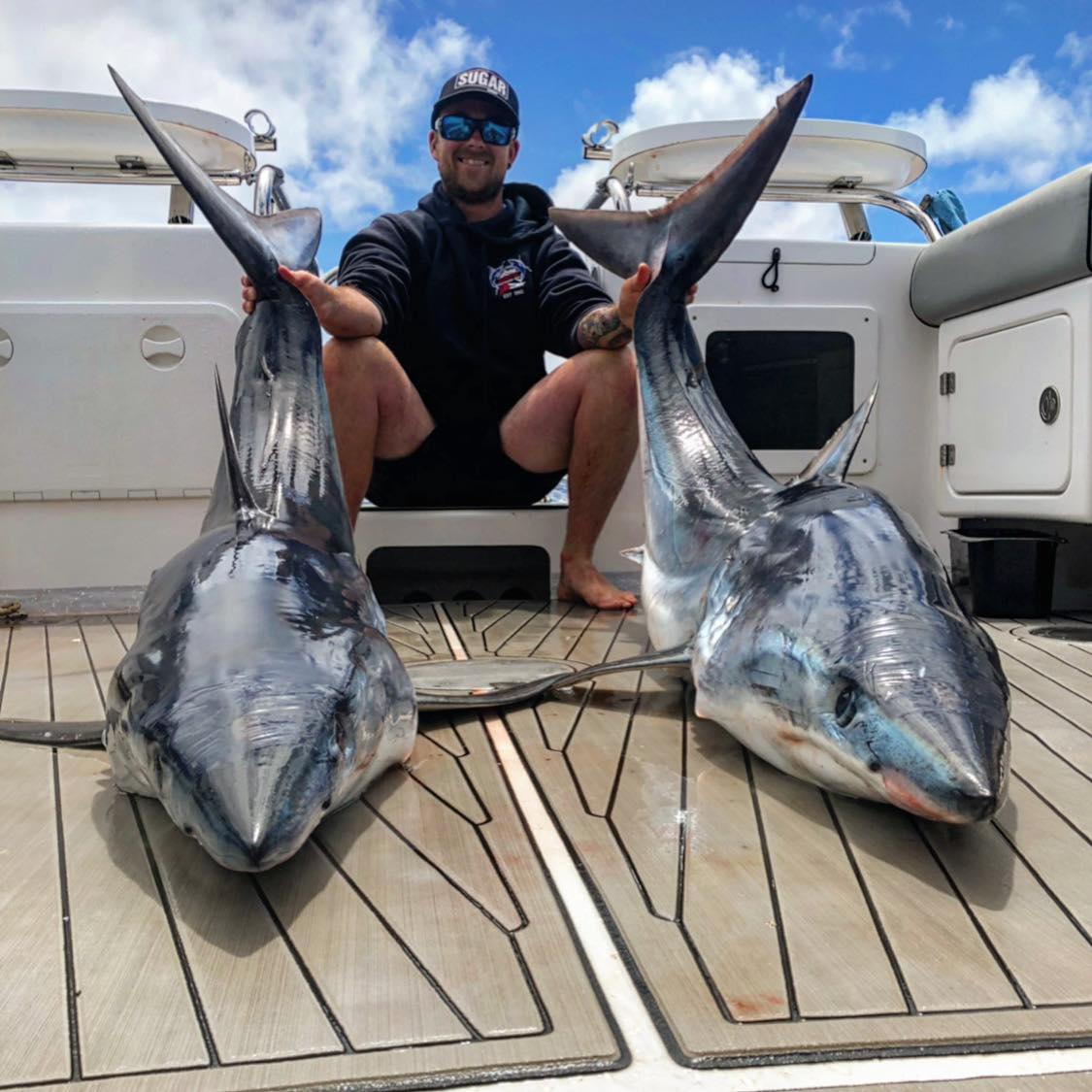 Thresher/ Small mako Shark Trace
