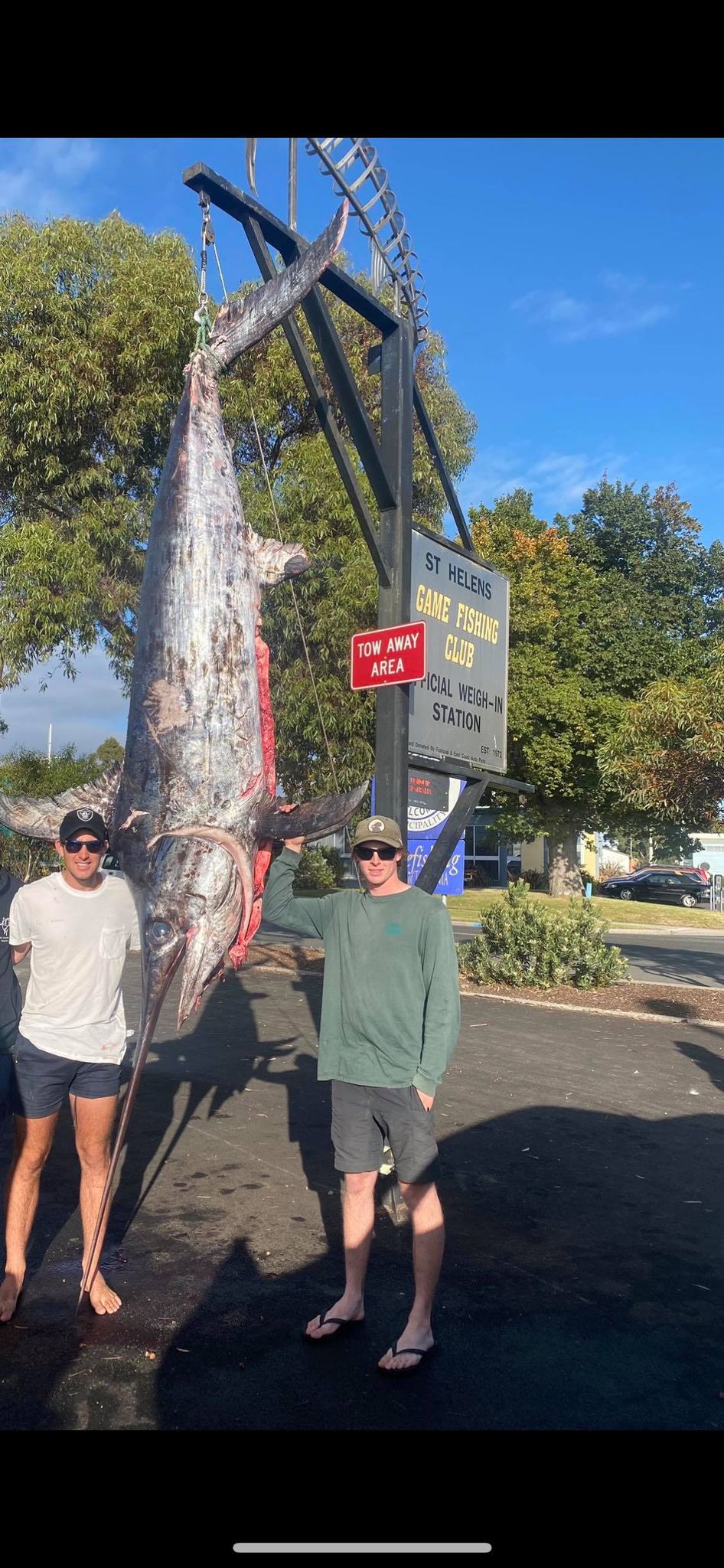 400lb 4mt swordfish rig with 12/0 7691s hook