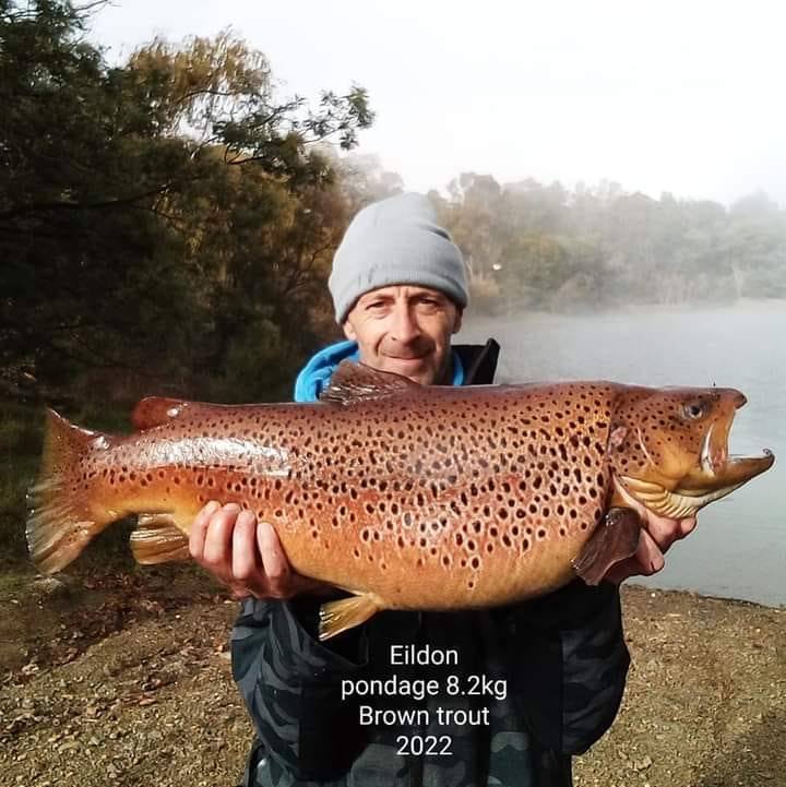 Brown Trout Gold Crock 10 grams pk of 2
