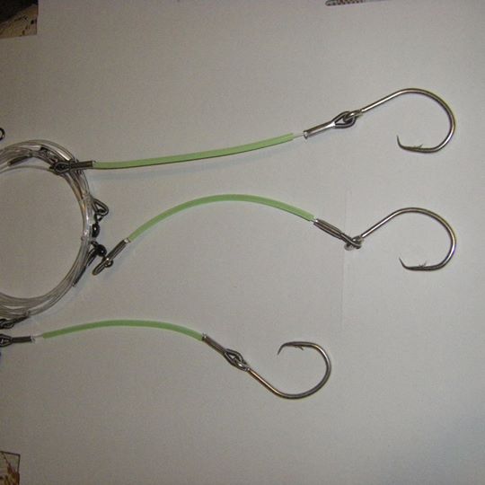 Rigs - Predator Tackle